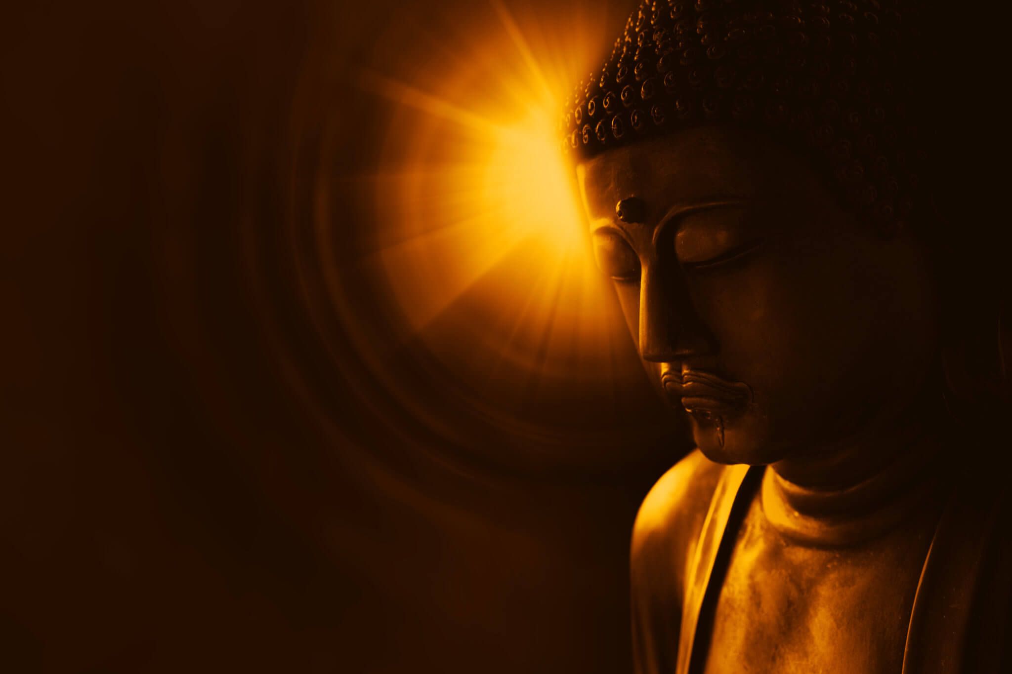 Inner Reflection & Walking the Middle Path - Primordial Alchemist ...